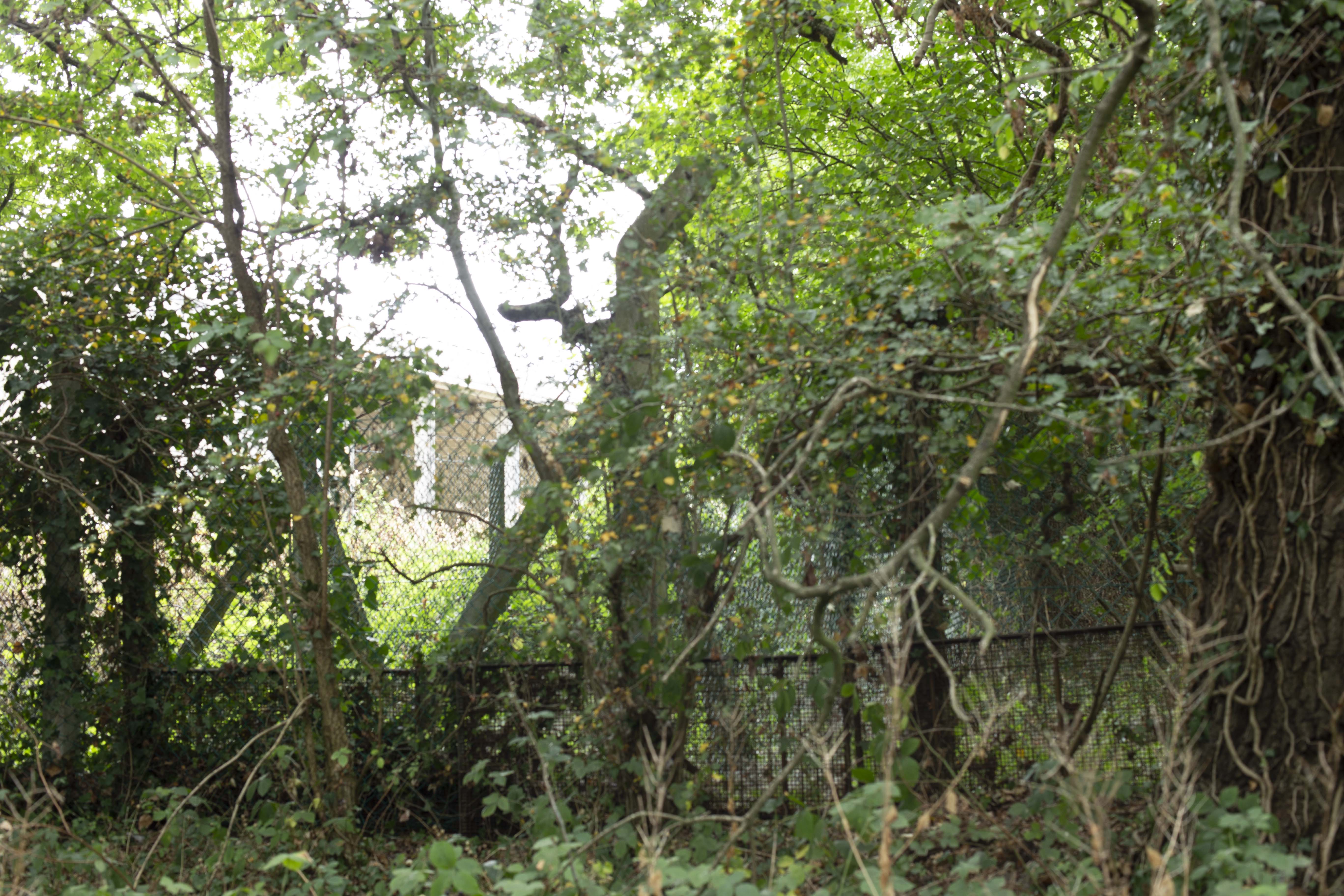 London Borough of Hillingdon - Planning